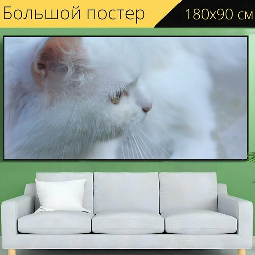 Большой постер "Кошка, белый, портрет" 180 x 90 см. для интерьера