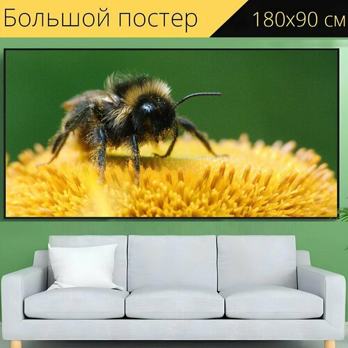Большой постер "Природа, насекомое, цветочная пыльца" 180 x 90 см. для интерьера
