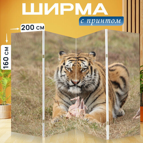 Ширма перегородка с принтом "Тигр, животное, дикая природа" на холсте - 200x160 см. для зонирования, раскладная