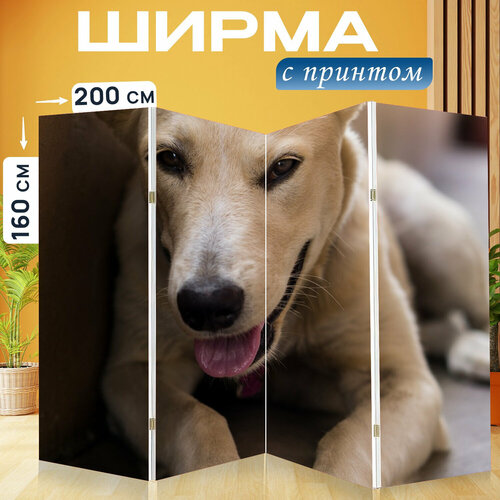 Ширма перегородка с принтом "Животное, щенок, собака" на холсте - 200x160 см. для зонирования, раскладная