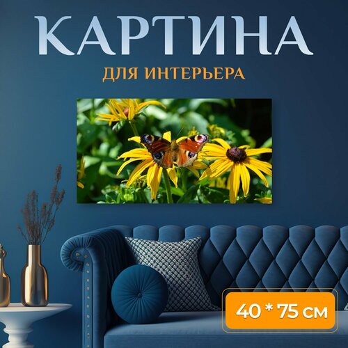 Картина на холсте "Цветок, эхинацеи, бабочка" на подрамнике 75х40 см. для интерьера