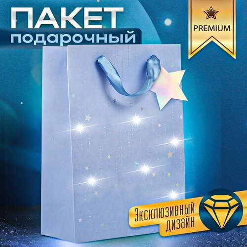Подарочный пакет со светодиодами голубой 20х28х10 см, с гирляндой, с подсветкой, упаковка светящаяся, универсальный