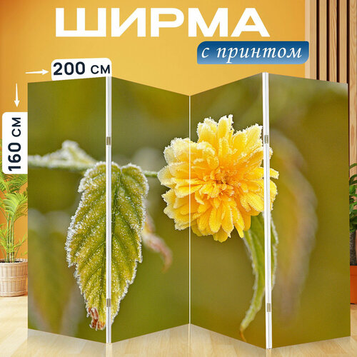 Ширма перегородка с принтом "Цветок, желтый, сады" на холсте - 200x160 см. для зонирования, раскладная
