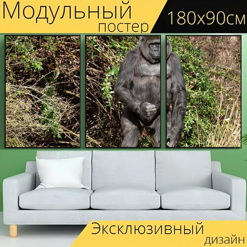 Модульный постер "Горилла, зоопарк, обезьяна" 180 x 90 см. для интерьера