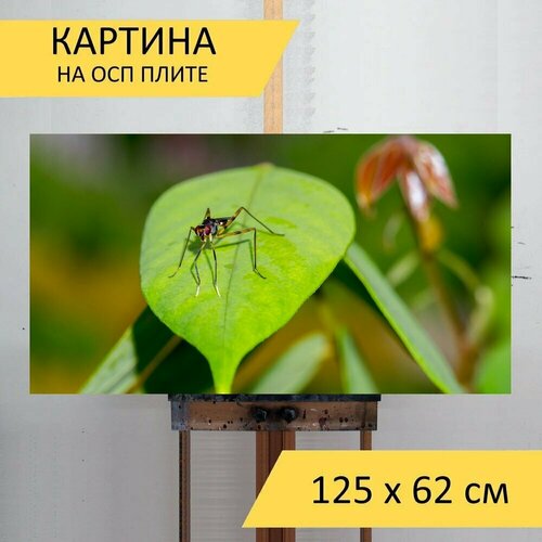 Картина на ОСП 125х62 см. "Макрос, насекомое, природа" горизонтальная, для интерьера, с креплениями