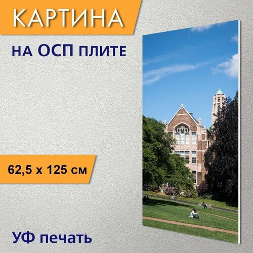 Вертикальная картина на ОСП "Университет, трава, небо" 62x125 см. для интерьериа
