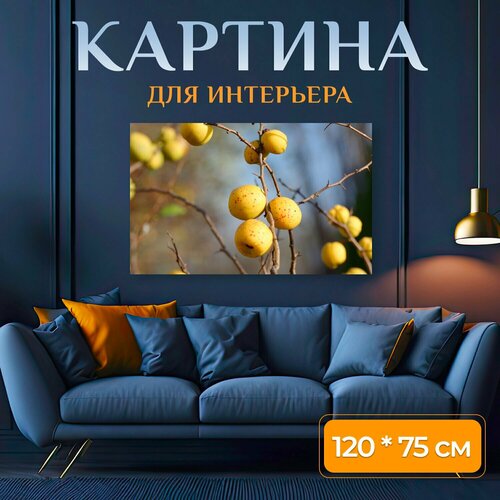 Картина на холсте "Айва, фрукты, осень" на подрамнике 120х75 см. для интерьера