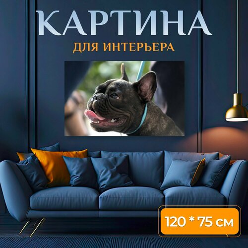Картина на холсте "В восторге, счастливая собака, класс собака" на подрамнике 120х75 см. для интерьера