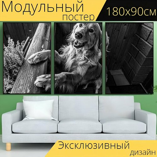 Модульный постер "Собака, перила, ретривер" 180 x 90 см. для интерьера