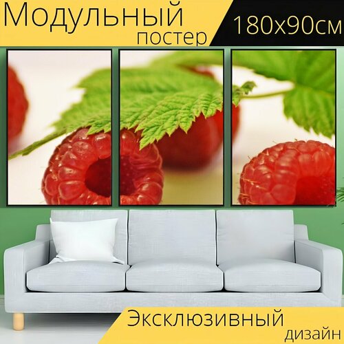 Модульный постер "Питание, фрукты, здоровый" 180 x 90 см. для интерьера