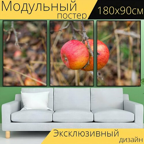 Модульный постер "Яблоки, закрывать, фрукты" 180 x 90 см. для интерьера