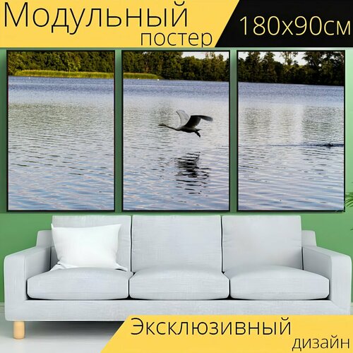 Модульный постер "Вода, лебедь, озеро" 180 x 90 см. для интерьера