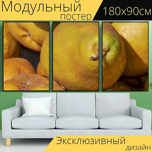 Модульный постер "Груши, фрукты, спелый" 180 x 90 см. для интерьера