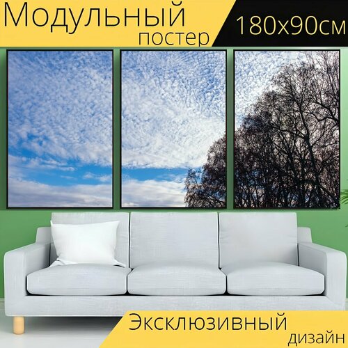 Модульный постер "Деревья, облака, пейзаж" 180 x 90 см. для интерьера