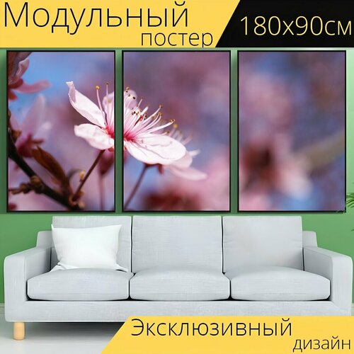 Модульный постер "Весна, вишня в цвету, вишневый цветок" 180 x 90 см. для интерьера