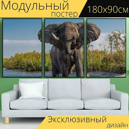 Модульный постер "Африканский слон, африке, ботсвана" 180 x 90 см. для интерьера
