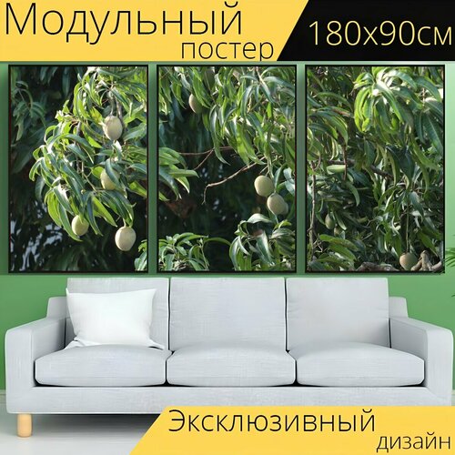 Модульный постер "Манго, фрукты, природа" 180 x 90 см. для интерьера