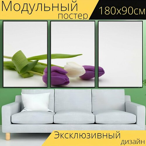 Модульный постер "Букет цветов, букет тюльпанов, тюльпаны" 180 x 90 см. для интерьера
