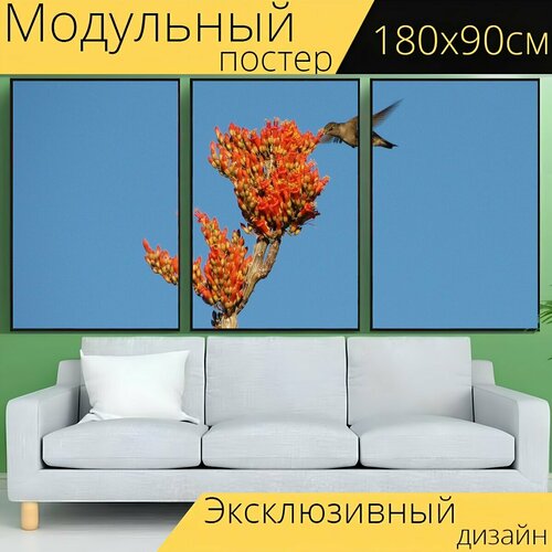 Модульный постер "Колибри, птица, цветок" 180 x 90 см. для интерьера