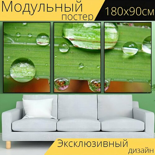 Модульный постер "Капли дождя, вода, преломление" 180 x 90 см. для интерьера