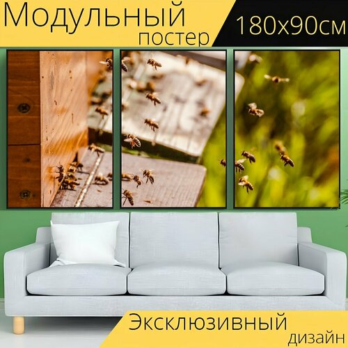 Модульный постер "Улей, пчелиная семья, медоносные пчелы" 180 x 90 см. для интерьера
