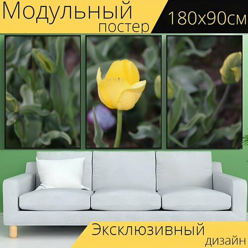 Модульный постер "Цветок, лили, желтый цветок" 180 x 90 см. для интерьера