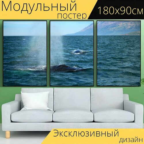 Модульный постер "Кит, атлантический, море" 180 x 90 см. для интерьера