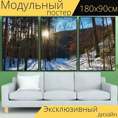 Модульный постер "Зима, ходить, лес" 180 x 90 см. для интерьера