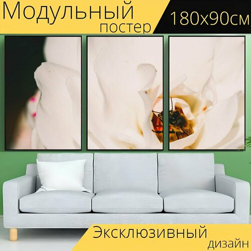 Модульный постер "Бурдон, цветок, белый" 180 x 90 см. для интерьера