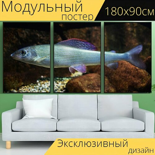 Модульный постер "Рыбы, море, аквариум" 180 x 90 см. для интерьера