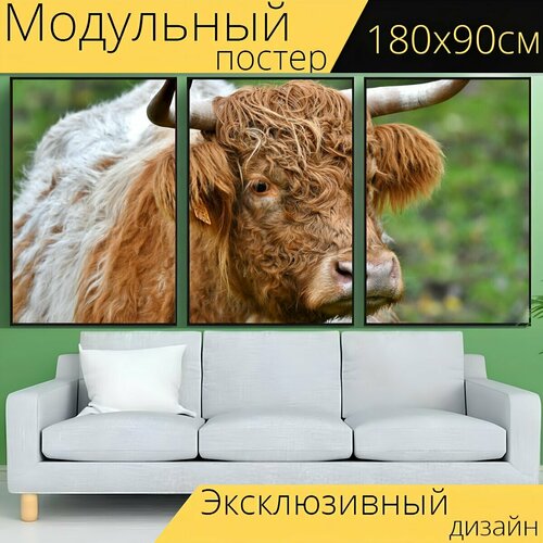 Модульный постер "Корова, рога, морда" 180 x 90 см. для интерьера