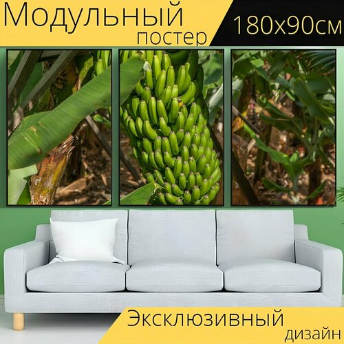 Модульный постер "Банан, бананы, тропический" 180 x 90 см. для интерьера