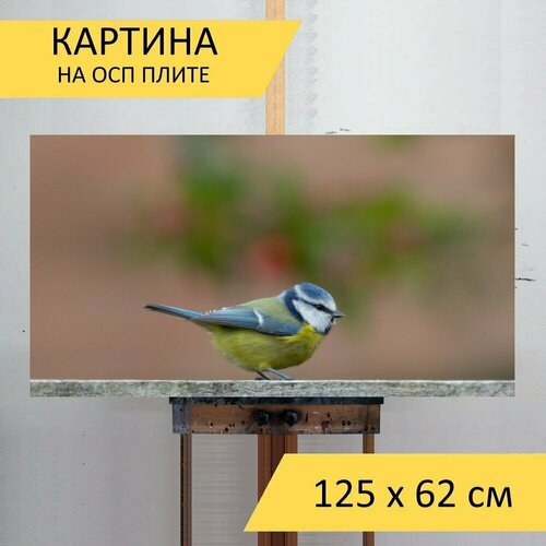 Картина на ОСП 125х62 см. "Лазоревка, синица, маленькая птица" горизонтальная, для интерьера, с креплениями