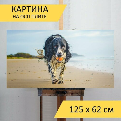 Картина на ОСП 125х62 см. "Собака, пляж, спаниель" горизонтальная, для интерьера, с креплениями