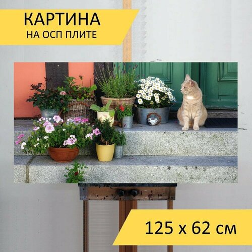 Картина на ОСП 125х62 см. "Кот, дом, вход" горизонтальная, для интерьера, с креплениями