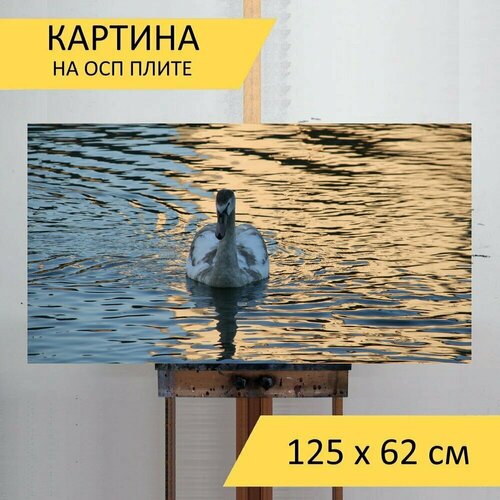 Картина на ОСП 125х62 см. "Воды, озеро, птица" горизонтальная, для интерьера, с креплениями