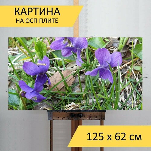 Картина на ОСП 125х62 см. "Фиолетовый, цветок, весна" горизонтальная, для интерьера, с креплениями