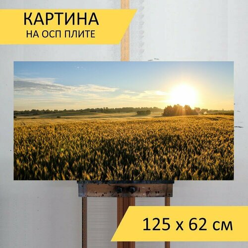 Картина на ОСП 125х62 см. "Пейзаж, восход солнца, пшеница" горизонтальная, для интерьера, с креплениями