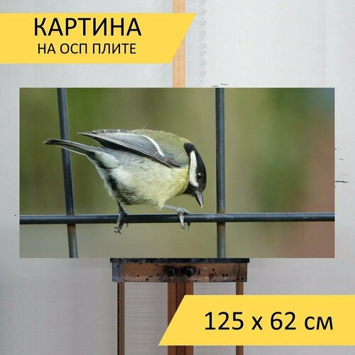 Картина на ОСП 125х62 см. "Птица, фауна, природа" горизонтальная, для интерьера, с креплениями