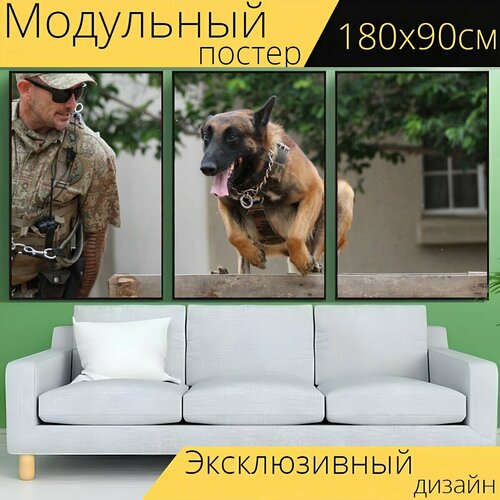 Модульный постер "Собака и проводник, собака, обработчик" 180 x 90 см. для интерьера