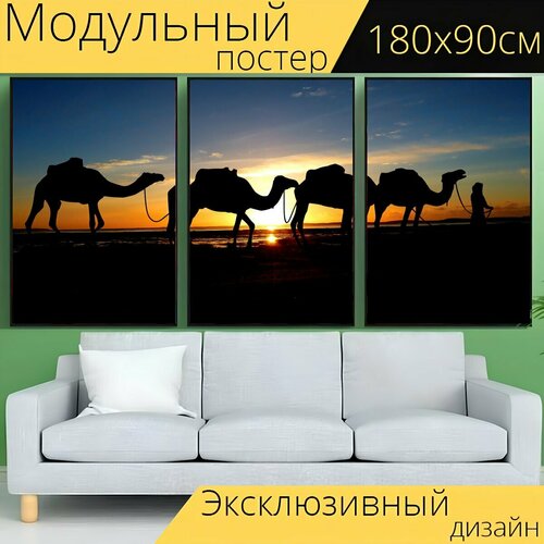 Модульный постер "Верблюды, заход солнца, силуэт" 180 x 90 см. для интерьера