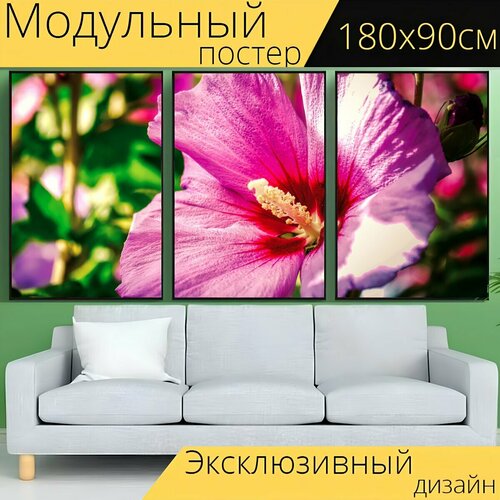 Модульный постер "Гибискус, цветок, завод" 180 x 90 см. для интерьера
