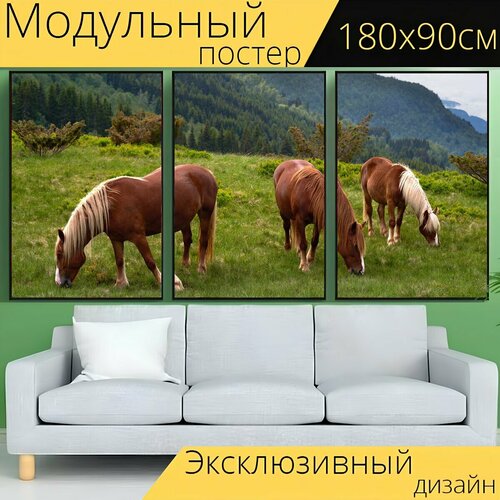 Модульный постер "Лошадь лошади, животных животных, природа" 180 x 90 см. для интерьера