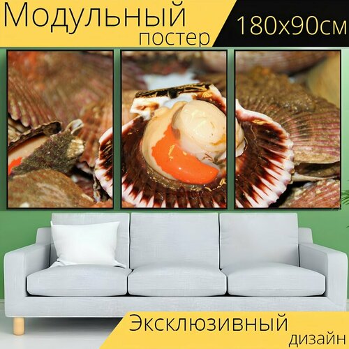 Модульный постер "Гребешок, морепродукты, свежий" 180 x 90 см. для интерьера