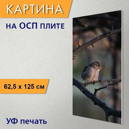 Вертикальная картина на ОСП "Птица, воробей, россия" 62x125 см. для интерьериа