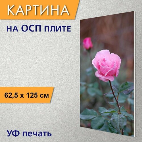 Вертикальная картина на ОСП "Роза, дождевая роза, цветок" 62x125 см. для интерьериа