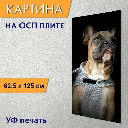 Вертикальная картина на ОСП "Собака, щенок, домашний питомец" 62x125 см. для интерьериа