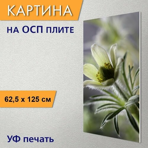 Вертикальная картина на ОСП "Пасковый цветок, цветок, завод" 62x125 см. для интерьериа