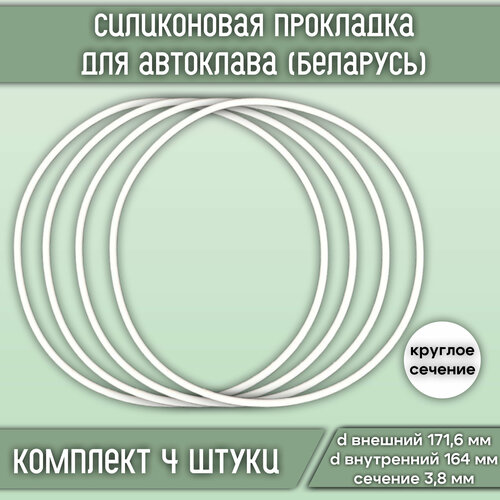 Силиконовая прокладка для автоклава (Беларусь) комплект 4 шт