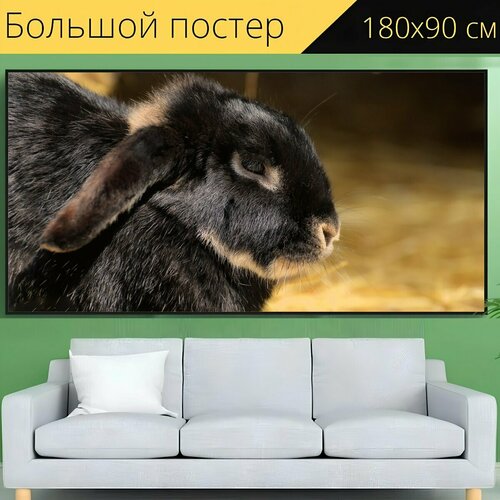 Большой постер "Кролики, грызун, милый" 180 x 90 см. для интерьера